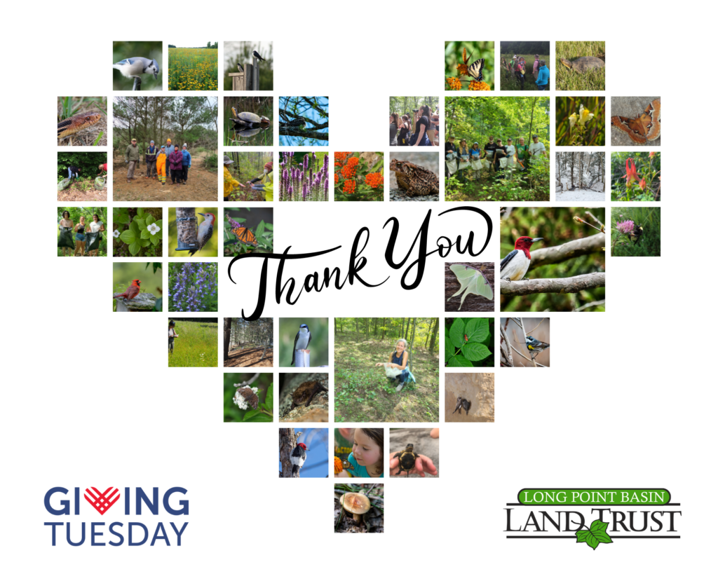 Thank you for giving! – Long Point Basin Land Trust